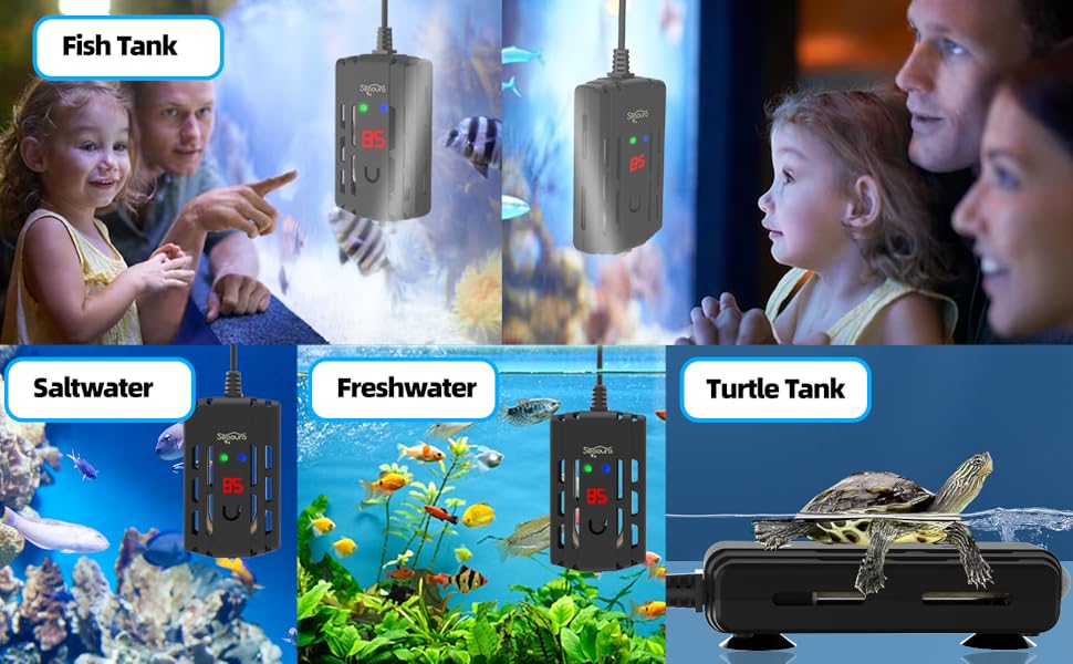 The Essential Guide to Choosing the Right Aquarium Heater – Seaoura