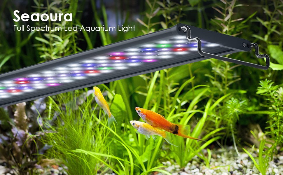 Submersible Light vs Blue-Red Light – Seaoura